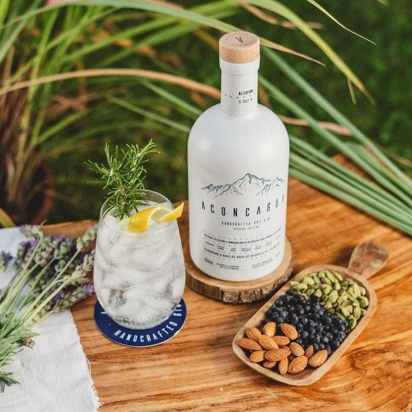 Gin Aconcagua Blanco 750ml | Whiskypedia