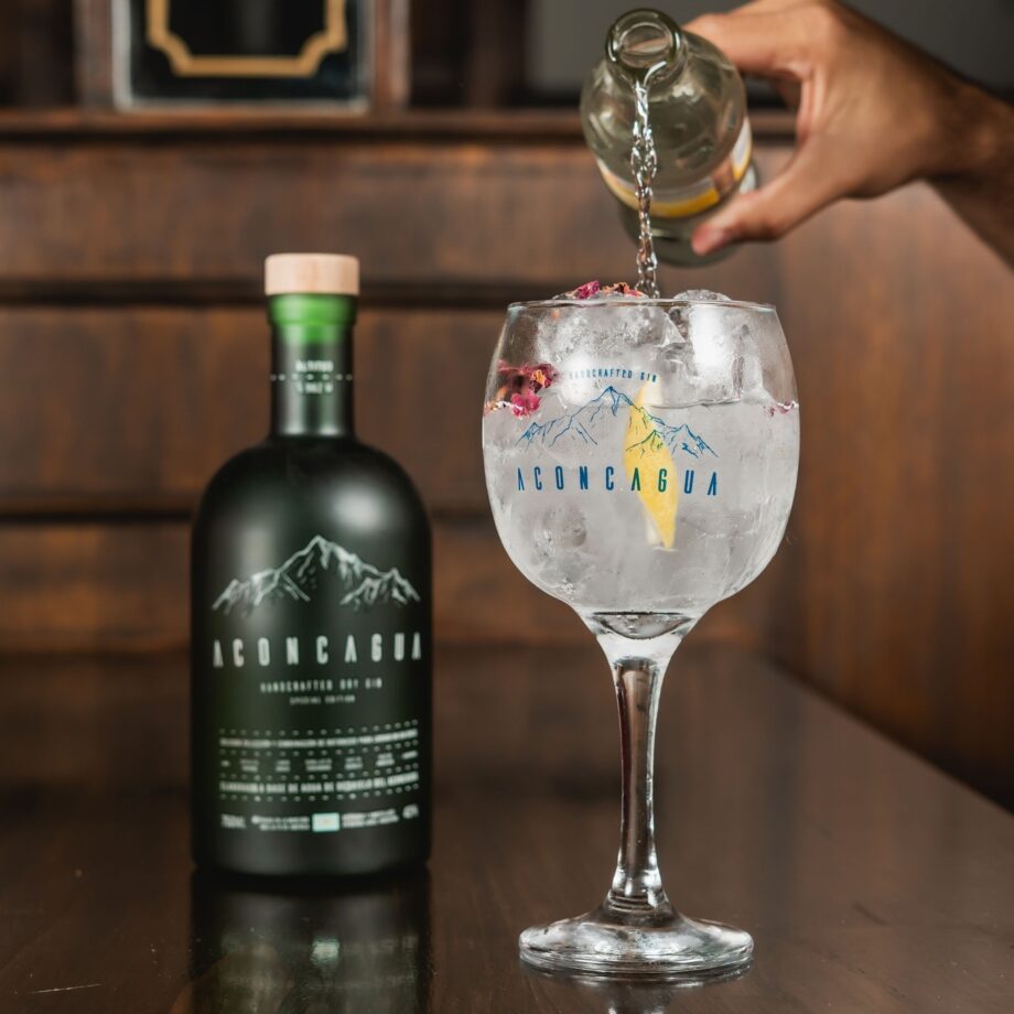 Gin Aconcagua Verde 750ml | Whiskypedia